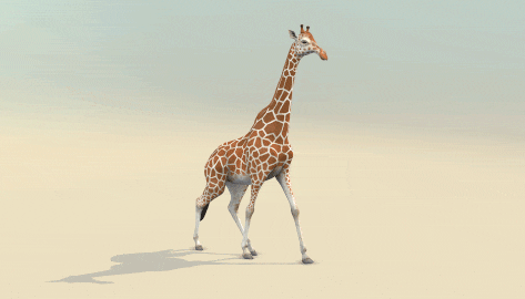 Animate a Giraffe Walk Cycle | SOPHORIA Academy